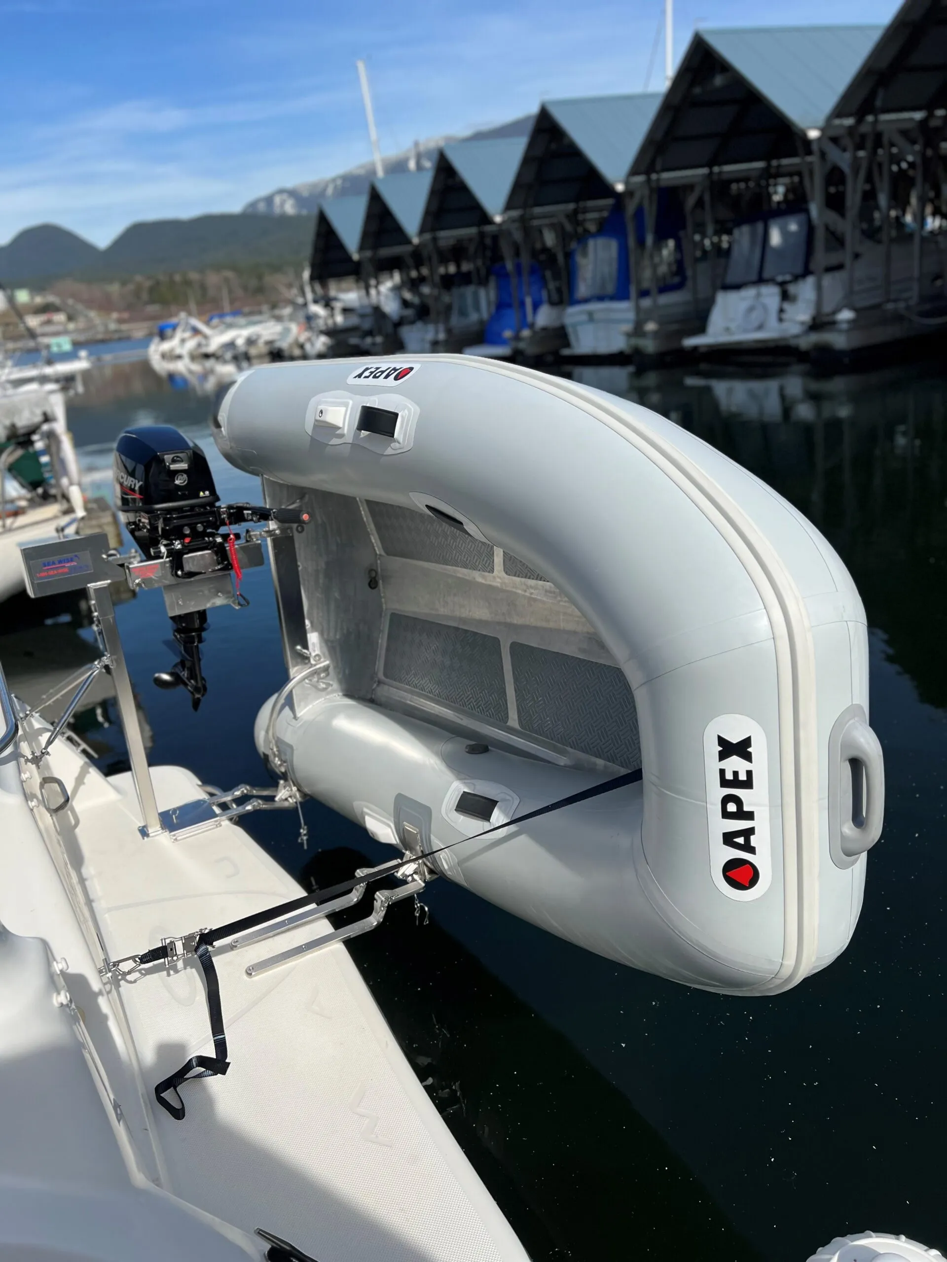 Boat Davit Systems | Electric & Manual Dinghy Lifts | SeaWise Marine