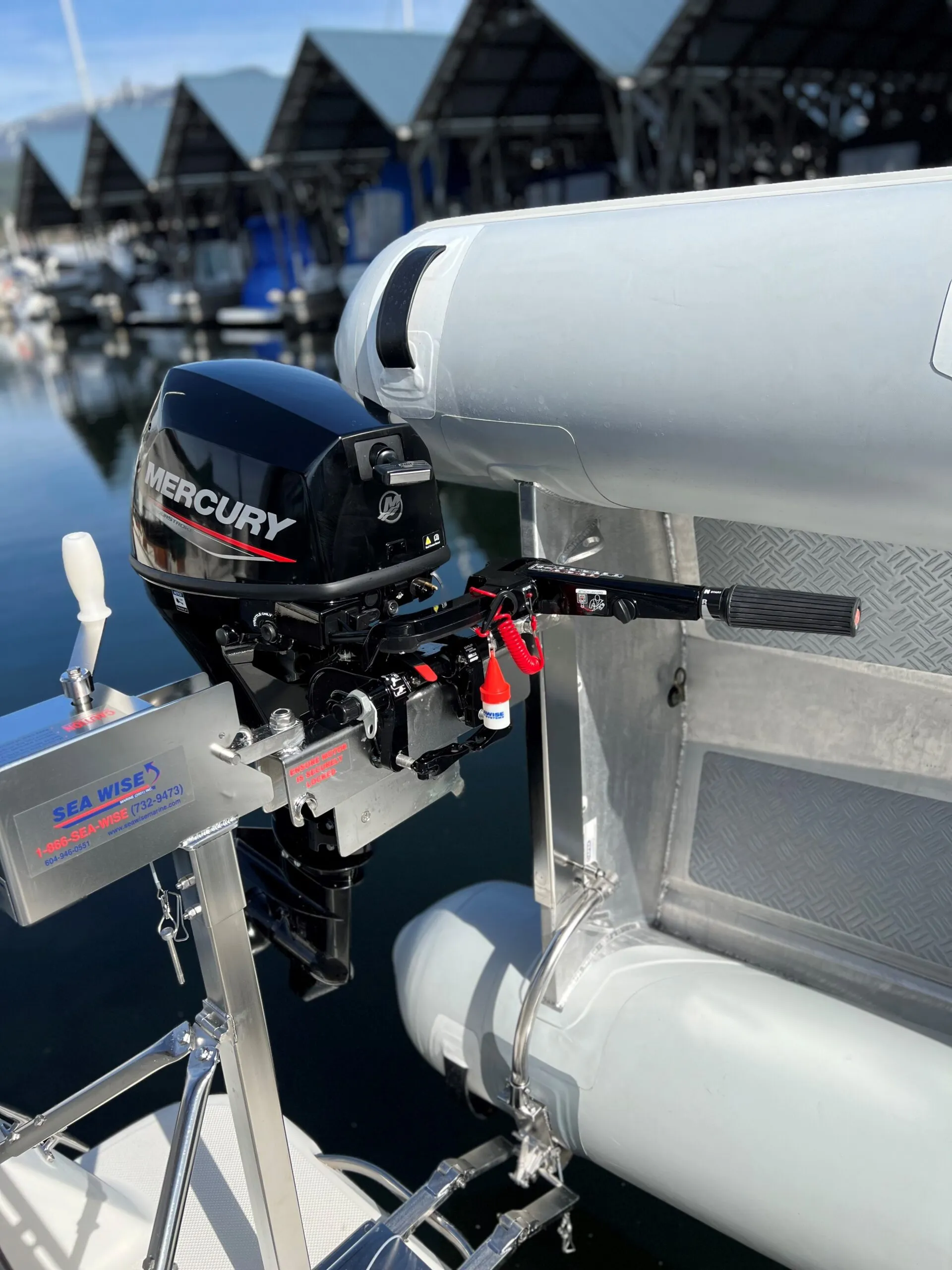 Electric Boat Davit | 800lb Capacity | SeaWise Marine